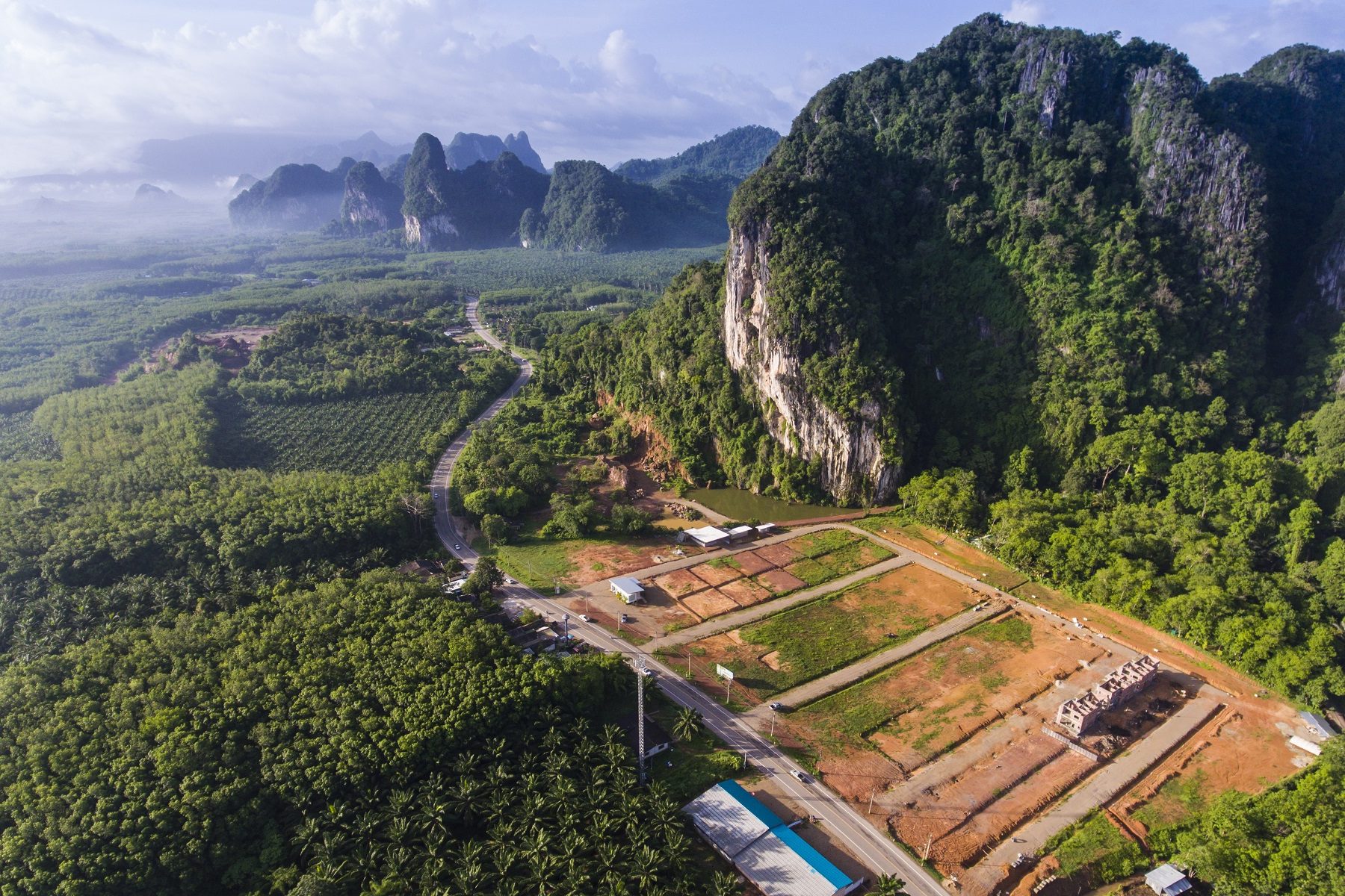 Agriculture - Forest Trends