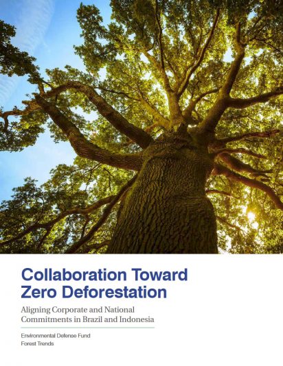 Deepening Collaboration: Aligning Private Sector and Government Commitments to Tackle ...