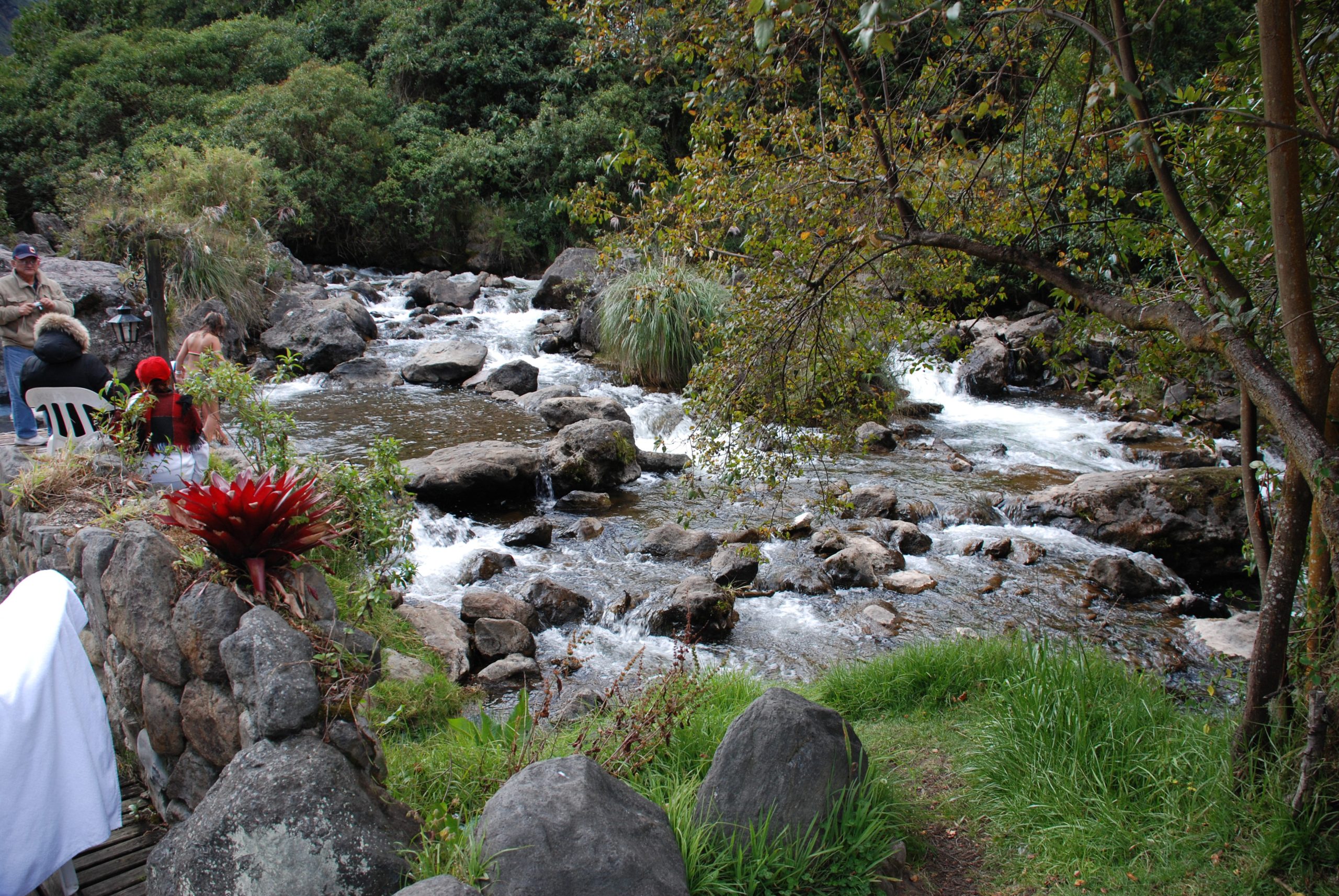 Payments For Ecosystem Services A Policy Idea Grows Up Forest Trends