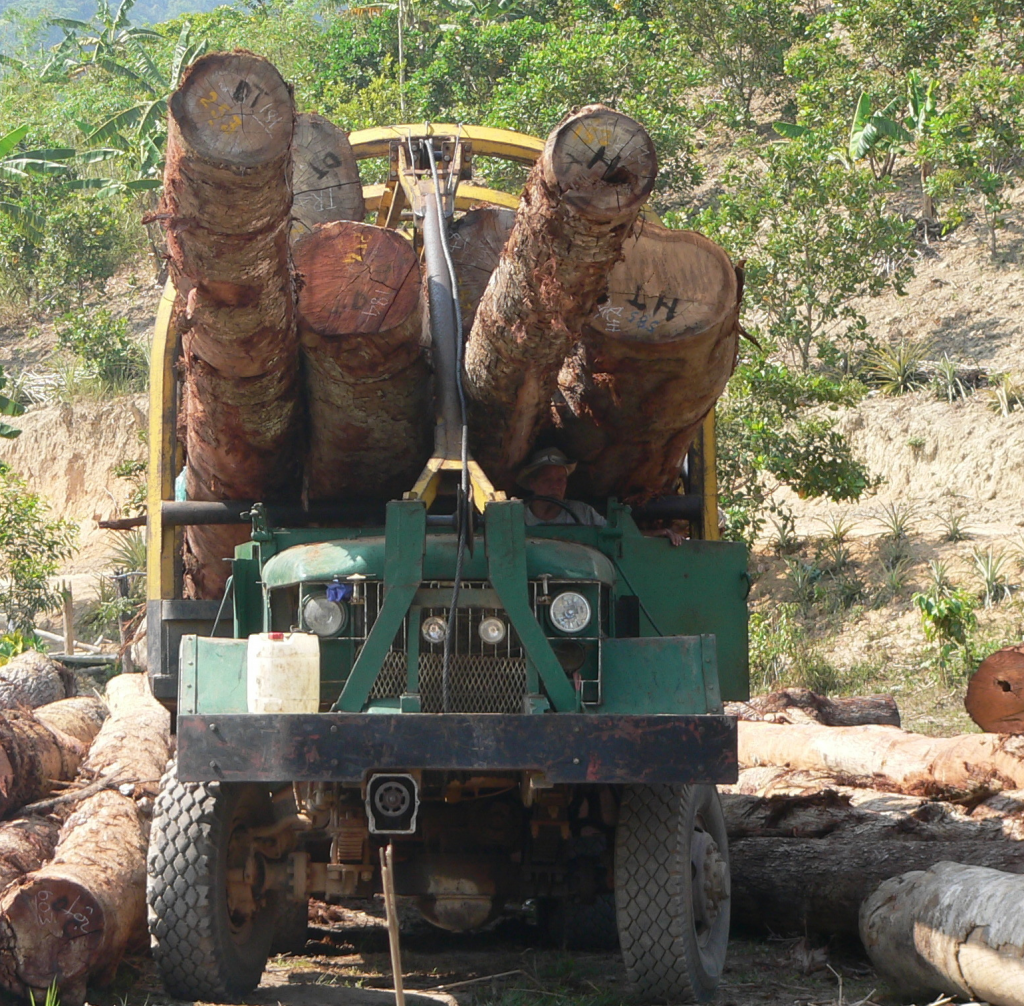 Forest Trends - Pioneering Finance for Conservation