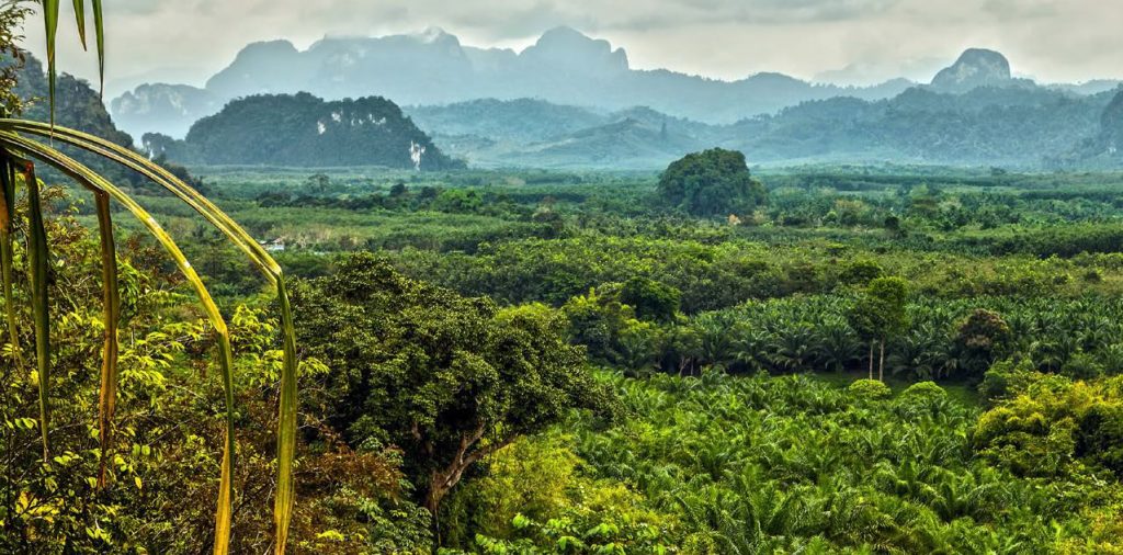 Contact Us - Forest Trends