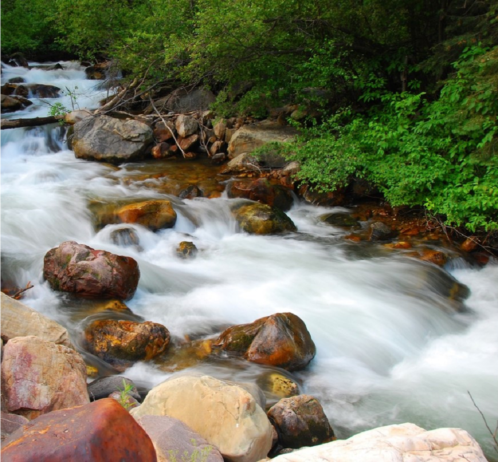 Forest Trends - Pioneering Finance for Conservation