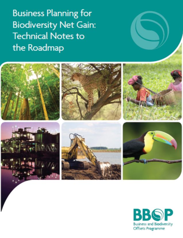 Business Planning for Biodiversity Net Gain - Forest Trends