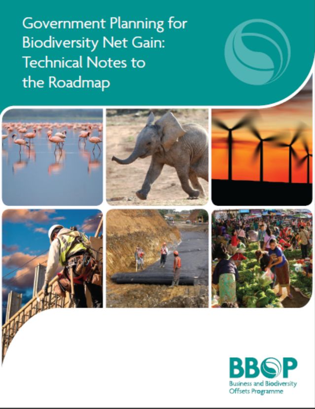 Government Planning for Biodiversity Net Gain - Forest Trends