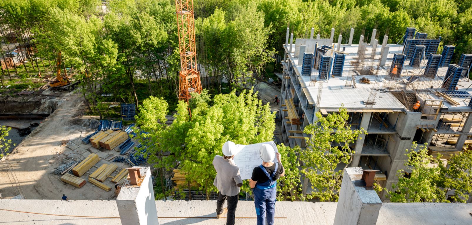 The Mitigation Hierarchy - Forest Trends