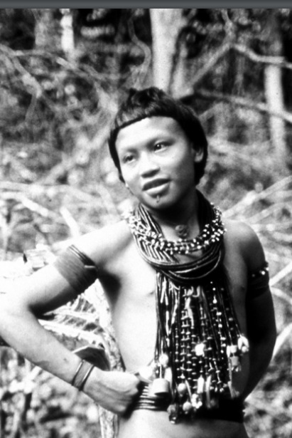 The Story of the Surui Forest Carbon Project - Ecosystem Marketplace