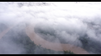 Forest Trends - Pioneering Finance for Conservation