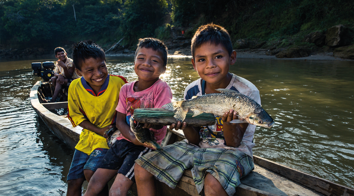 Indigenous Communities are the Last Defenders of the Amazon. They're ...