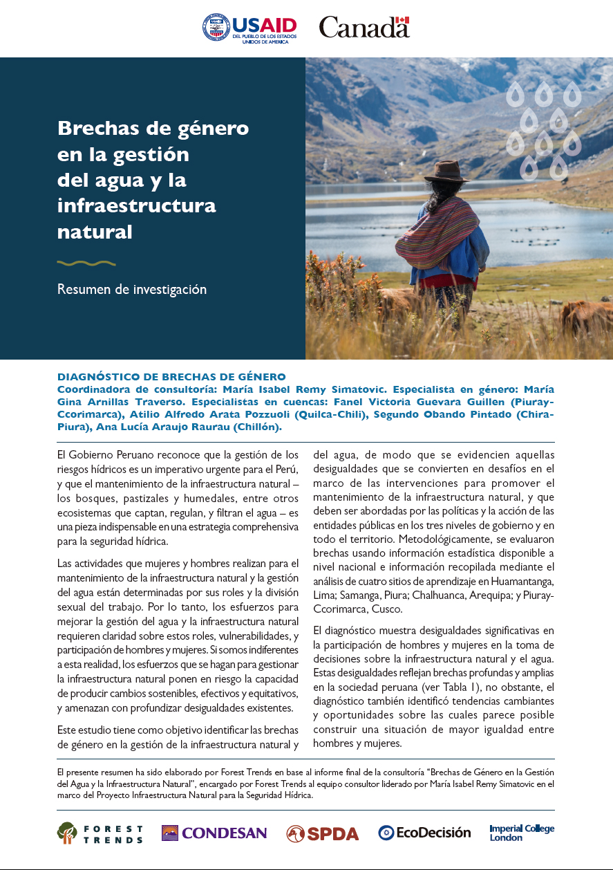 Resumen De Investigación Brechas De Género En La Gestión Del Agua Y