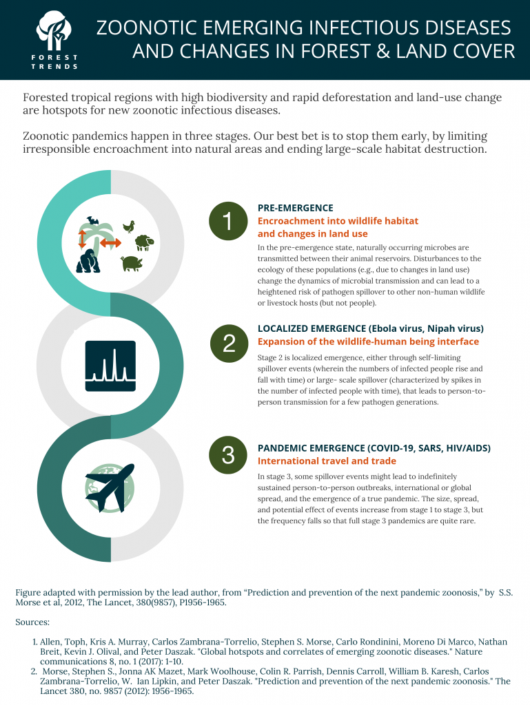 Coronavirus: How Did We Get Here? - Forest Trends
