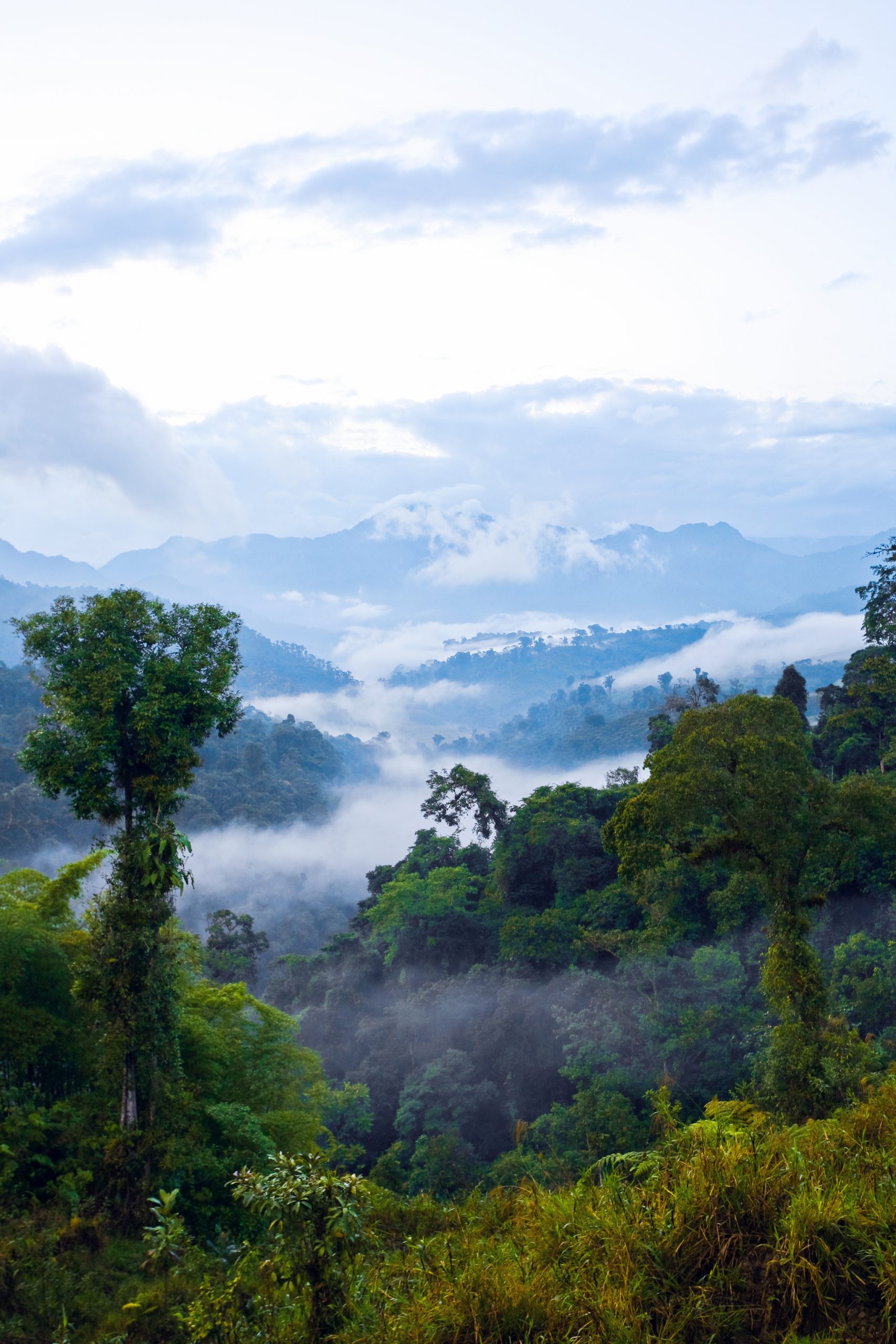 Resilience Dispatch #11: A "Green Gigaton" Bid to Scale Funding for ...