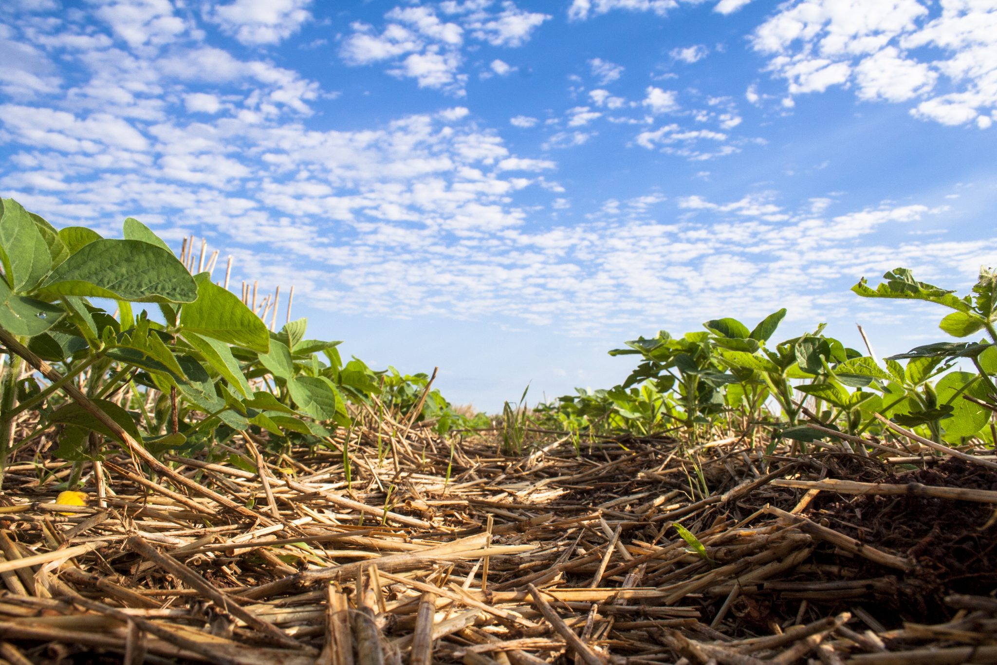 Meaningful supply chain legislation: Lessons from the US Tariffs Act ...