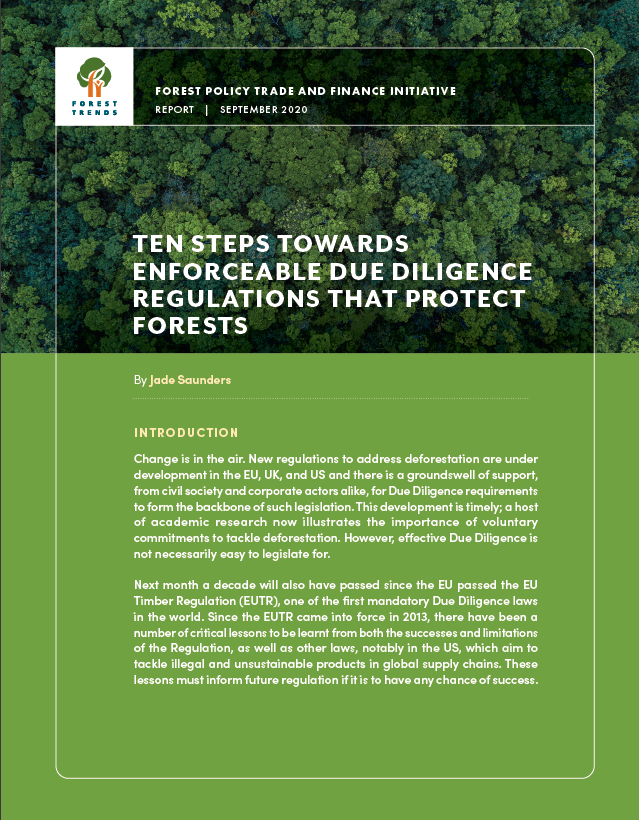 Ten Steps Towards Enforceable Due Diligence Regulations that Protect ... Ten Steps Towards Enforceable Due Diligence Regulations that Protect ...