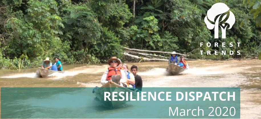 Resilience Dispatch #1: Welcome to the Resilience Dispatch; The ...