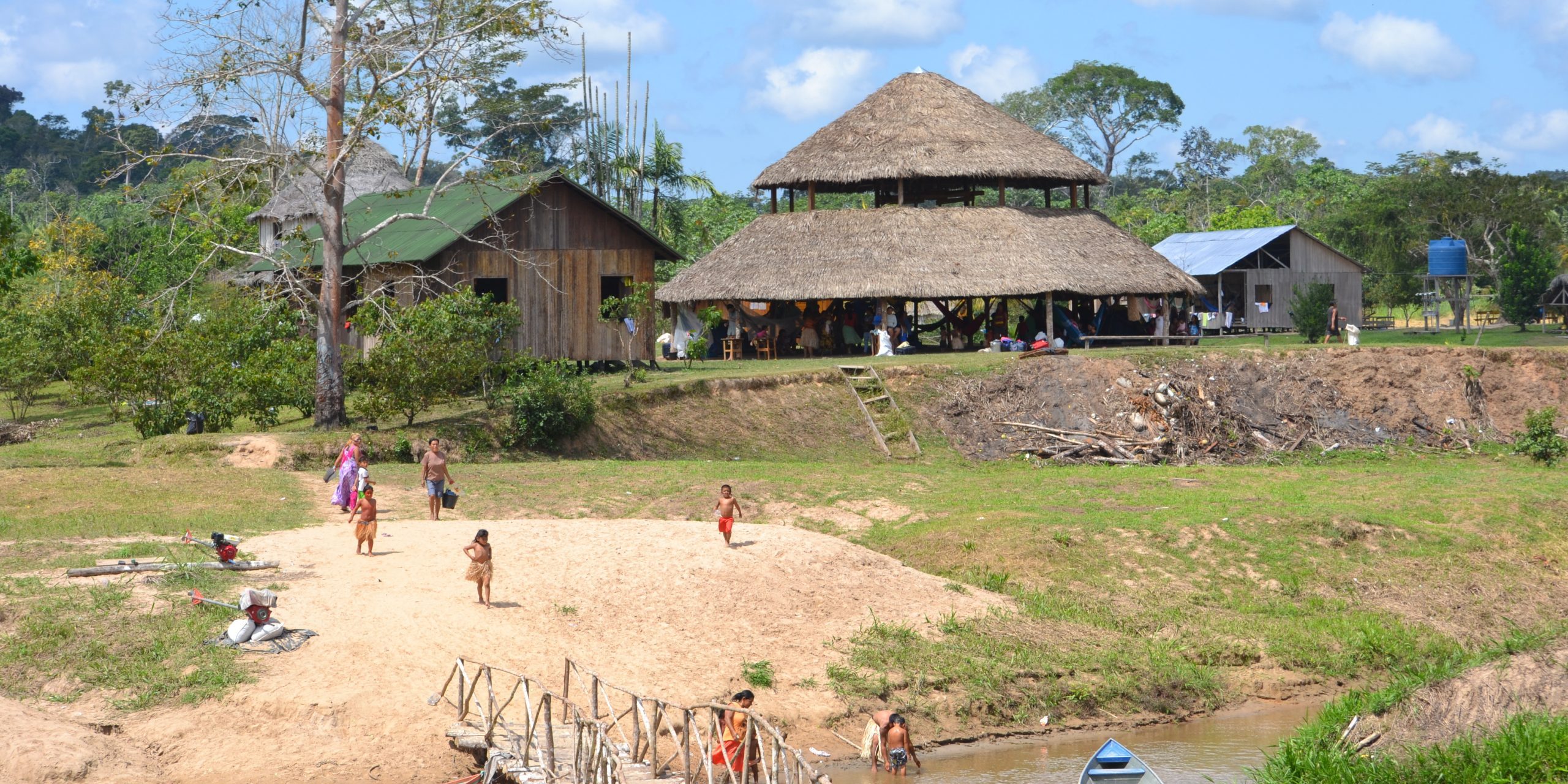 The Western Fight Against Biodiversity Loss Needs More Indigenous and ...