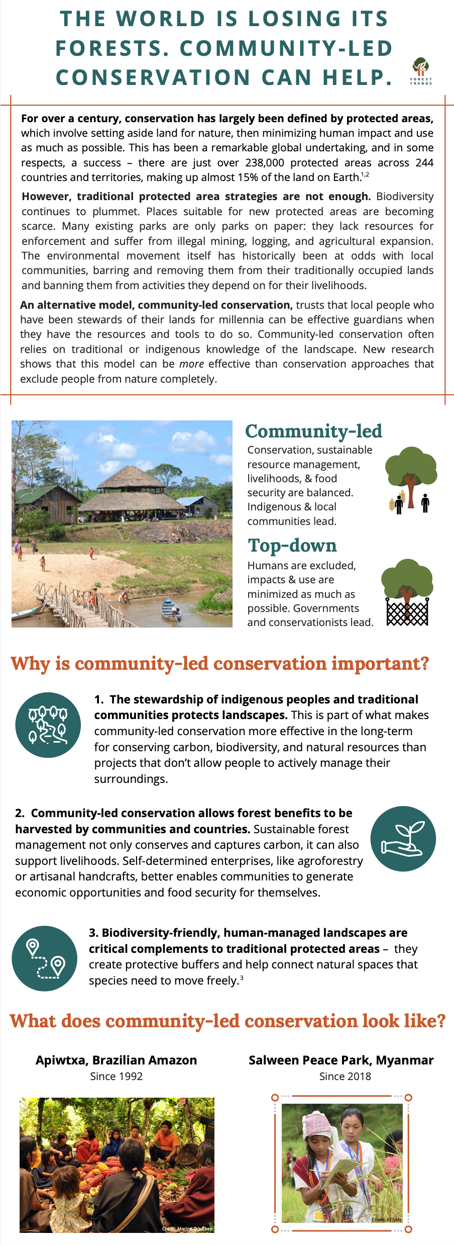 The World is Losing Its Forests. Community-led Conservation Can Help ...
