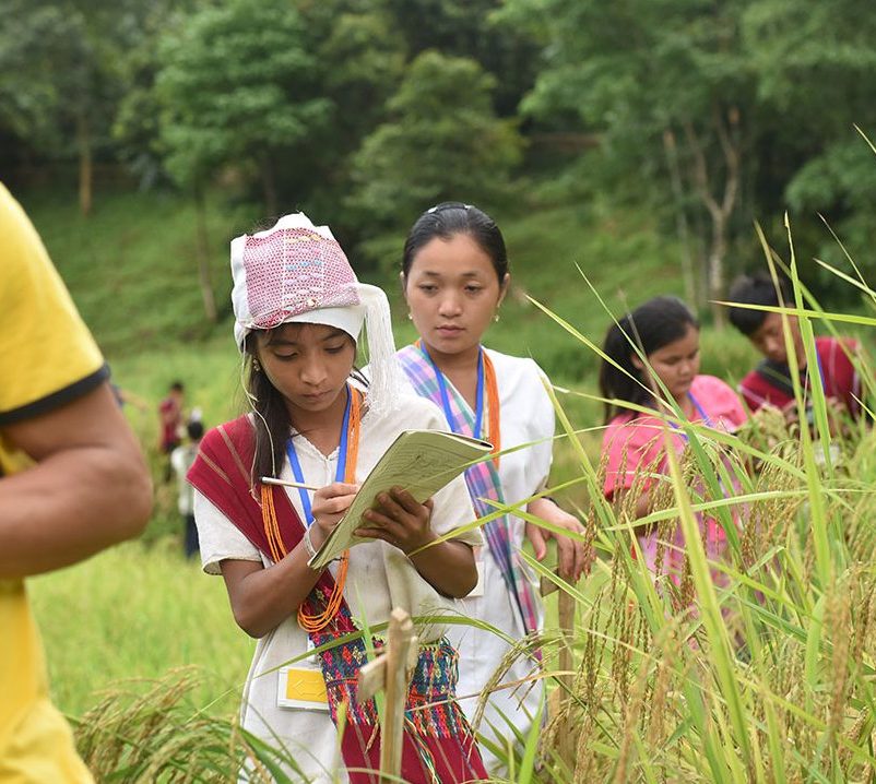 The Western Fight Against Biodiversity Loss Needs More Indigenous and ...