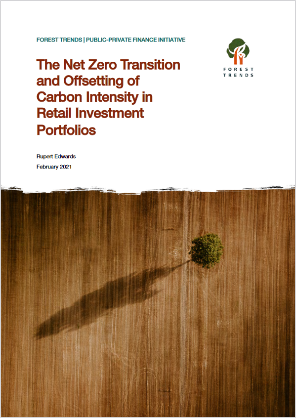The Net Zero Transition and Offsetting of Carbon Intensity in Retail ...