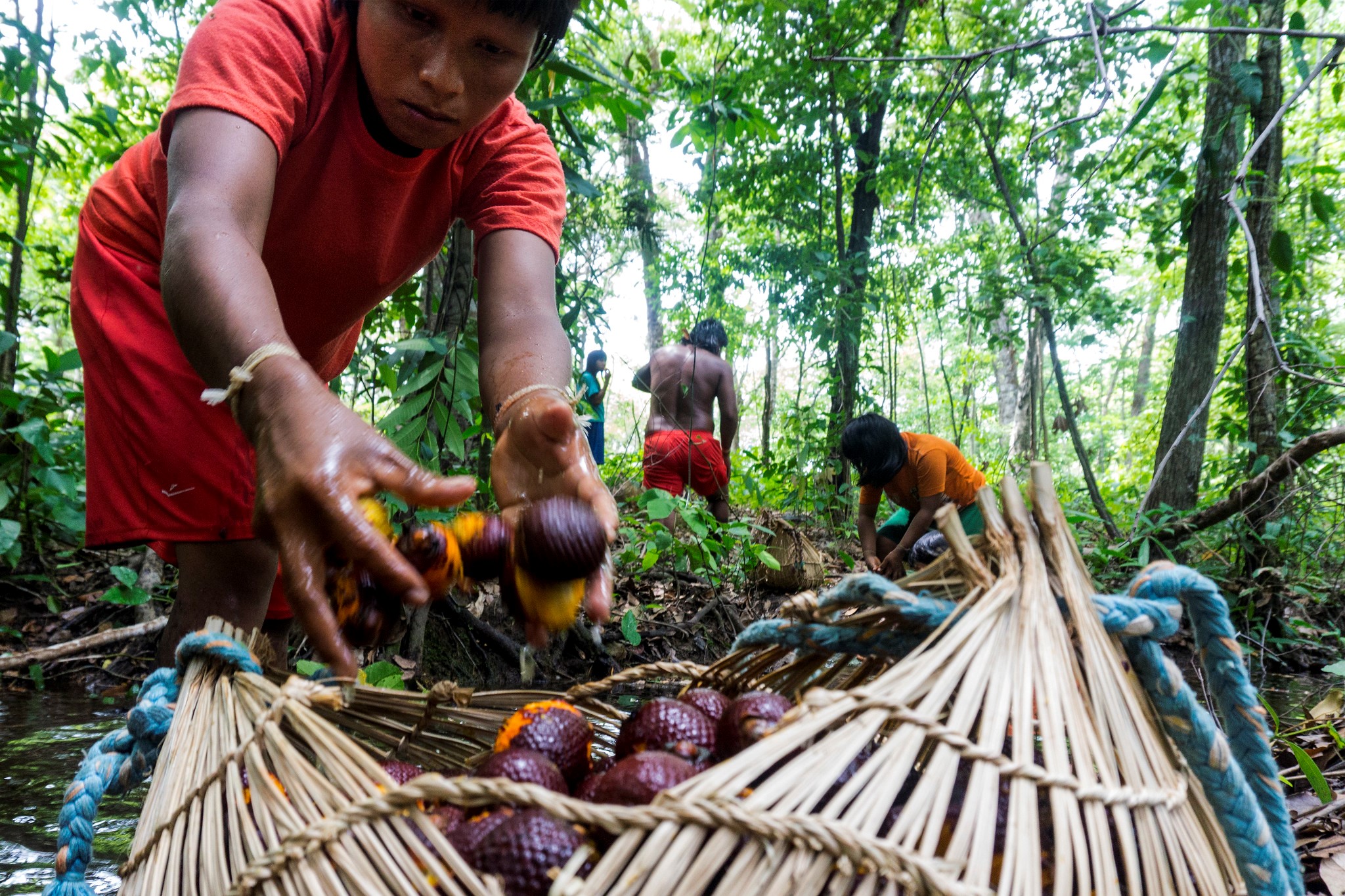 Webinar: Investment, indigenous rights and natural climate solutions ...