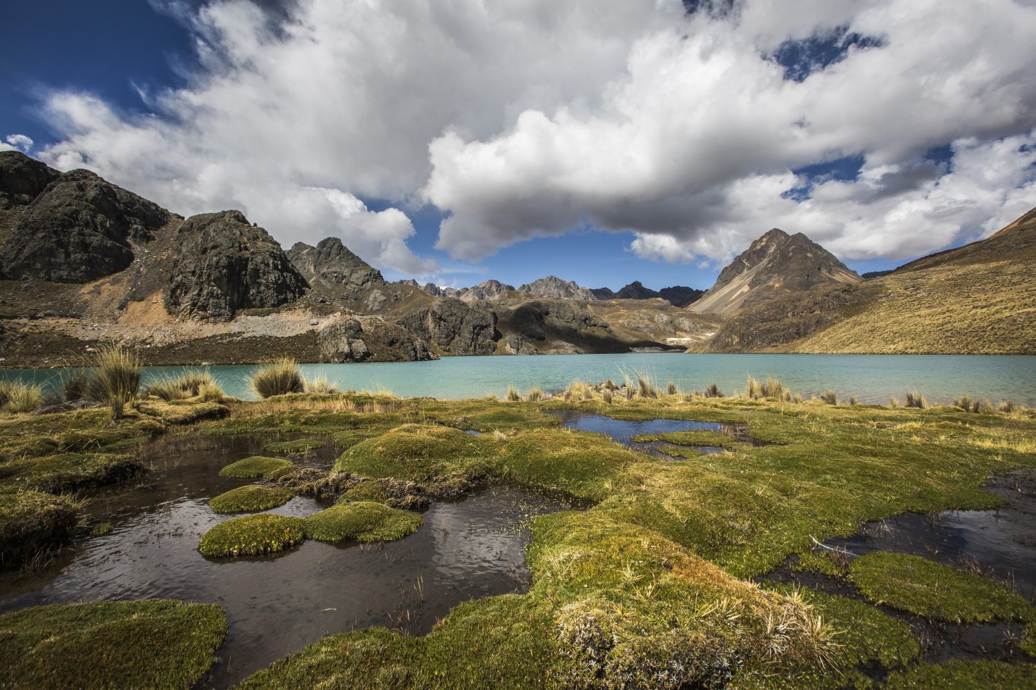 Forest Trends - Pioneering Finance for Conservation