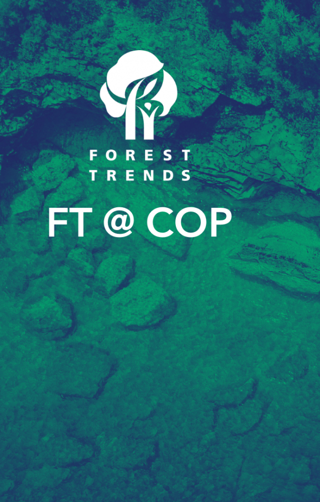 Forest Trends - Pioneering Finance for Conservation