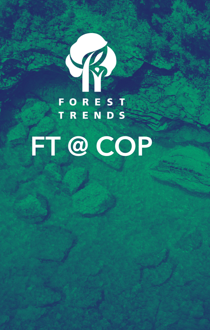 COP27: A night celebrating indigenous leaders - Forest Trends
