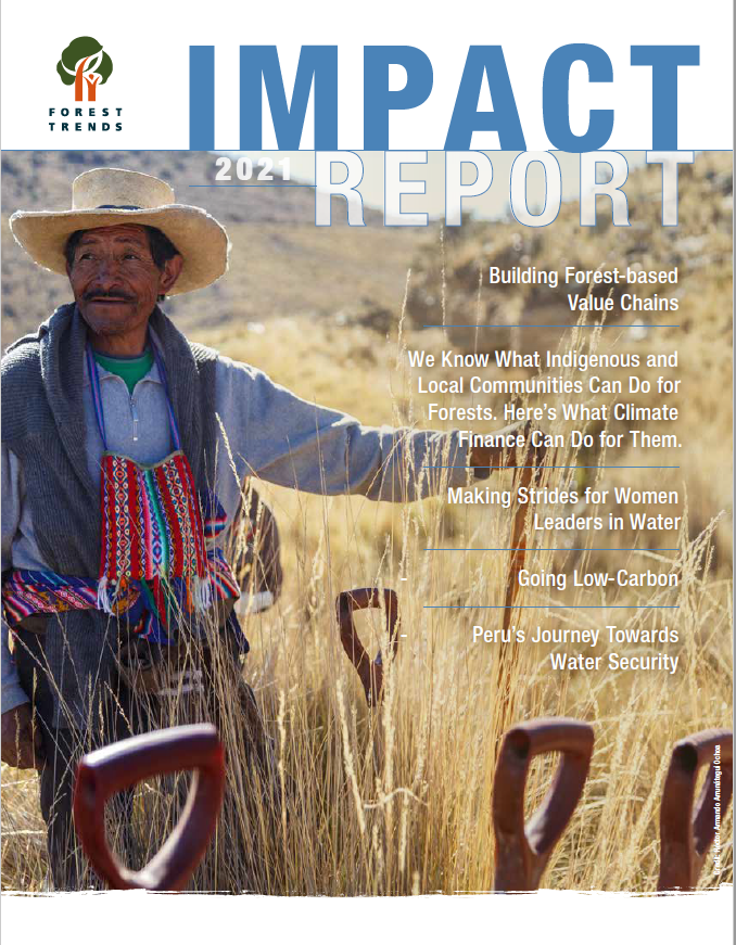 Forest Trends Impact Report 2021 Forest Trends