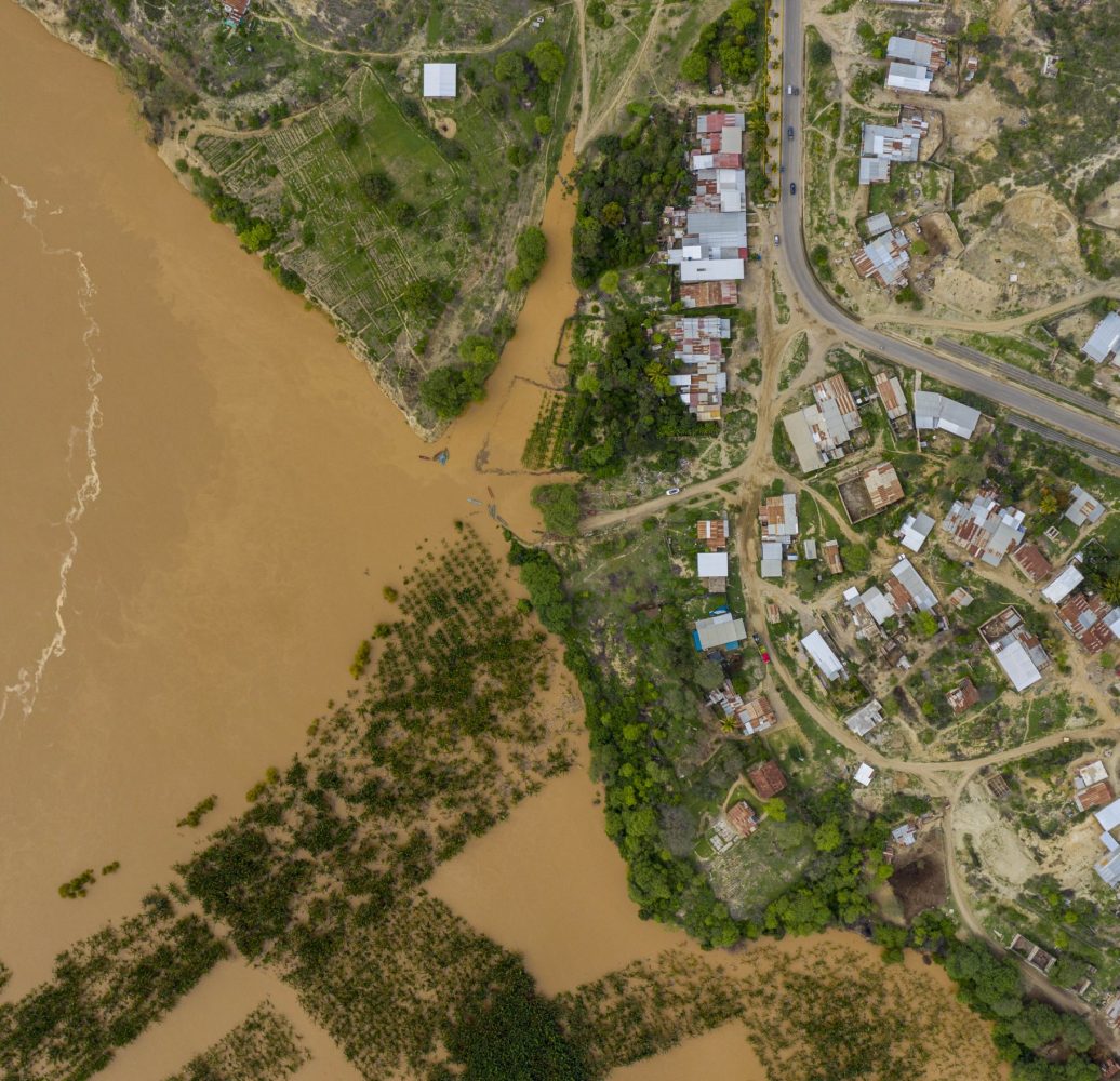 Forest Trends - Pioneering Finance for Conservation