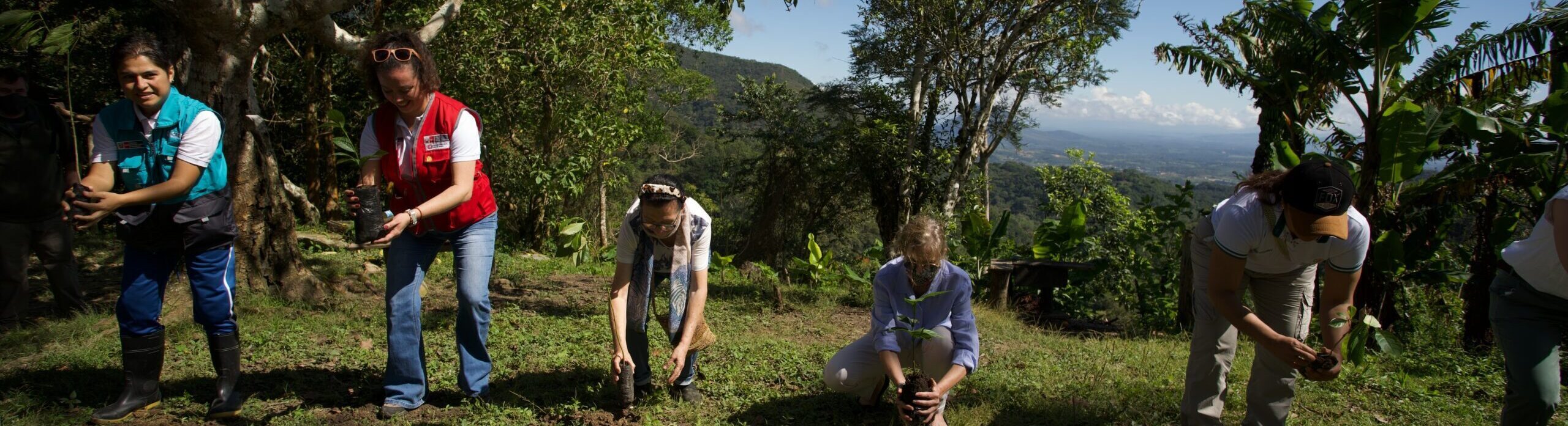 Impact Reports Forest Trends