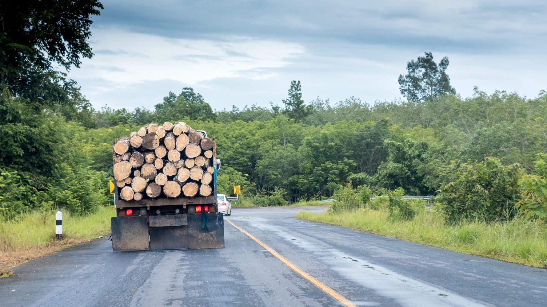 Forest Trends - Pioneering Finance for Conservation
