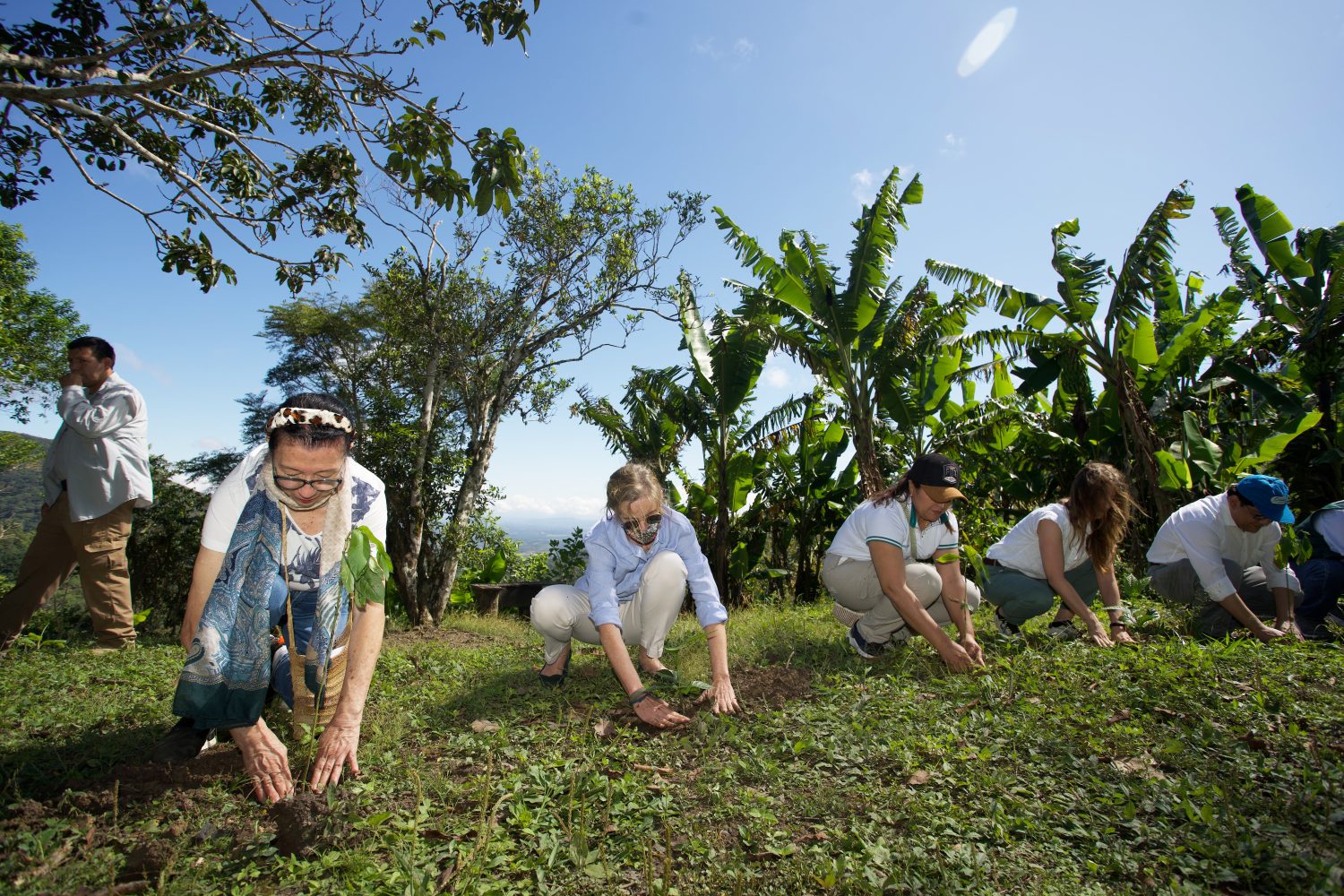 Forest Trends - Pioneering Finance for Conservation