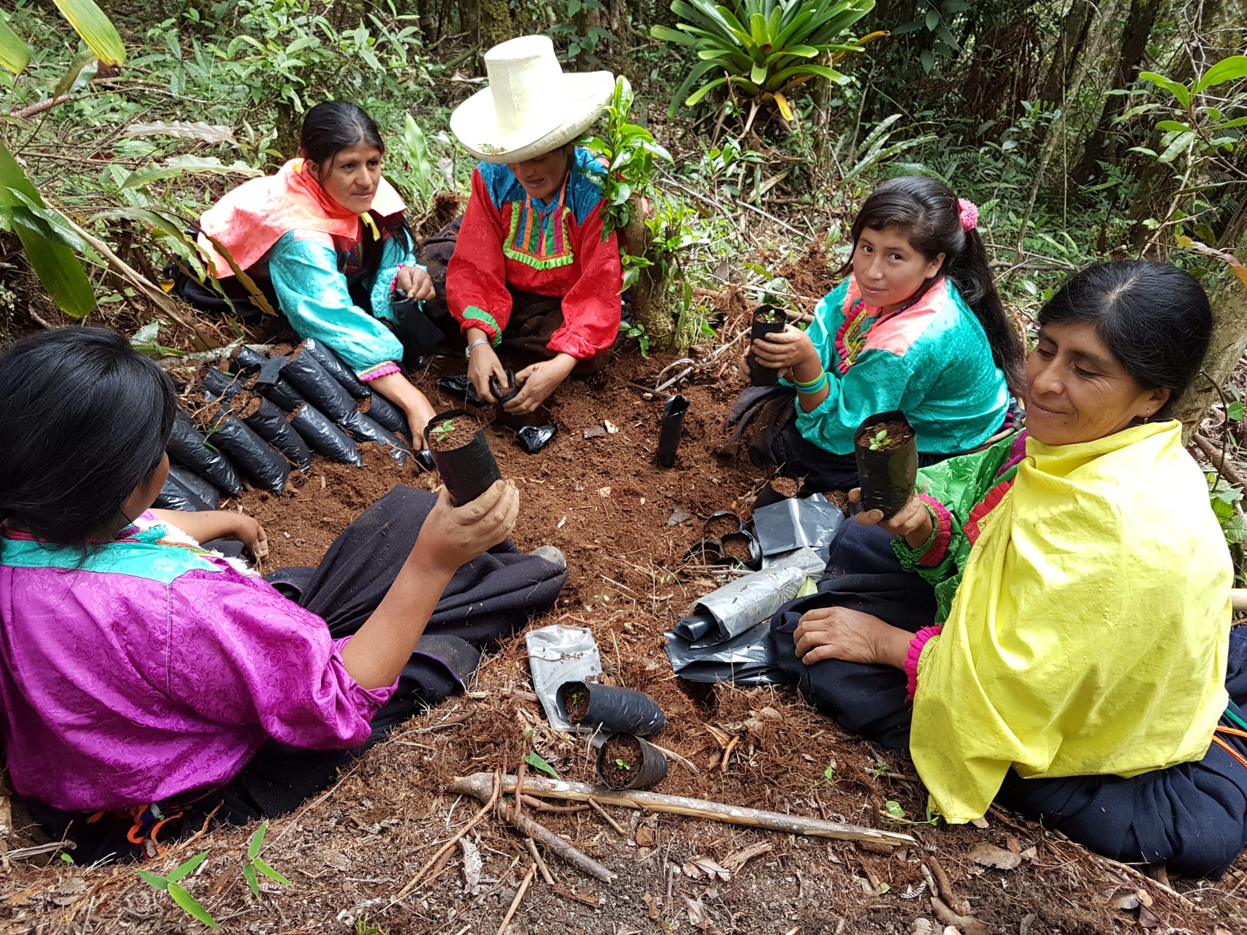 Resilience Dispatch #29: Our Impact in 2022 - Forest Trends