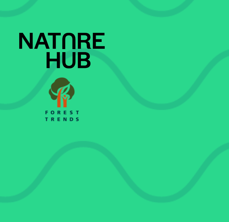 Nature Hub - UN Water Conference, New York - Forest Trends