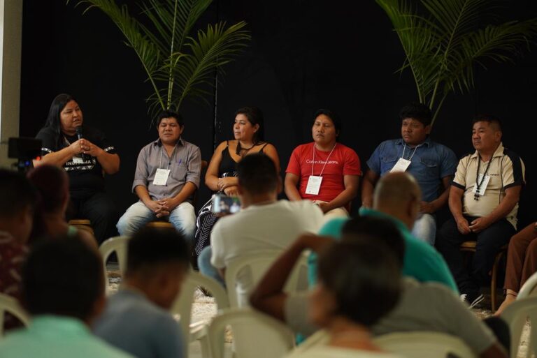 Four Lessons from Cacoal, Brazil: How to Engage Indigenous Communities ...