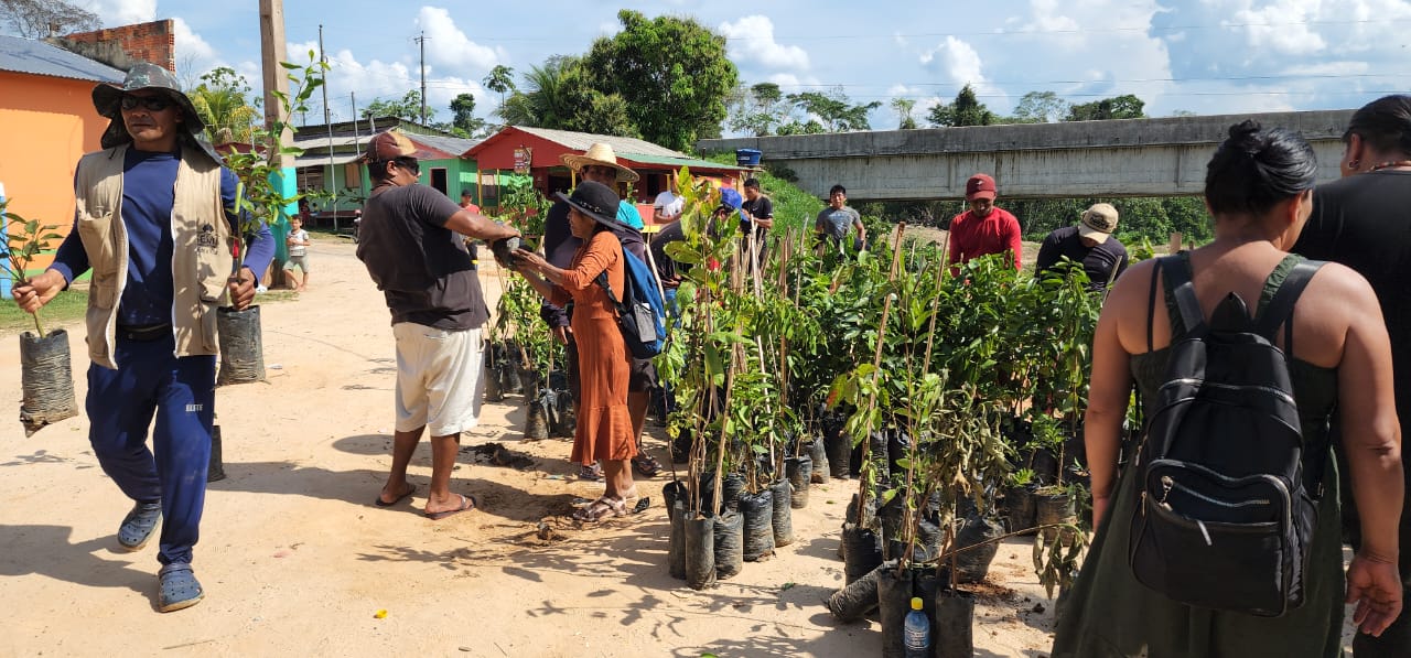 How Brazil can restore an area twice the size of Germany - Forest Trends