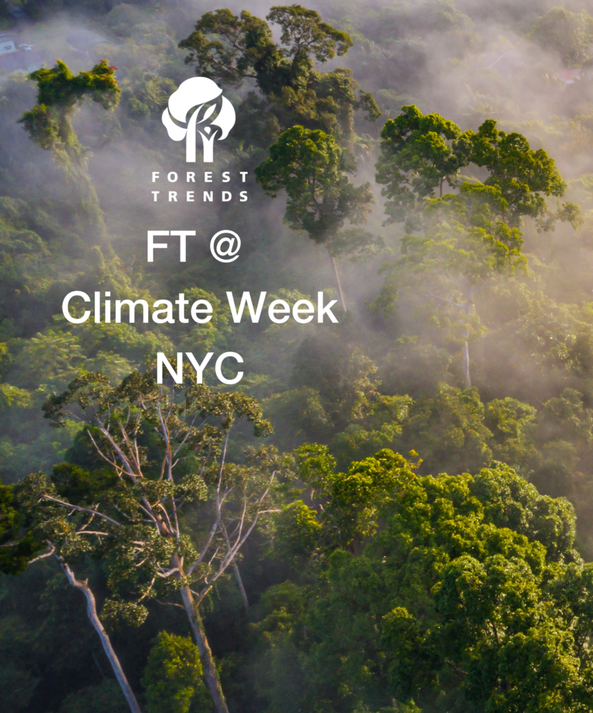 New York Climate Week: Full List of Forest Trends Events - Forest Trends