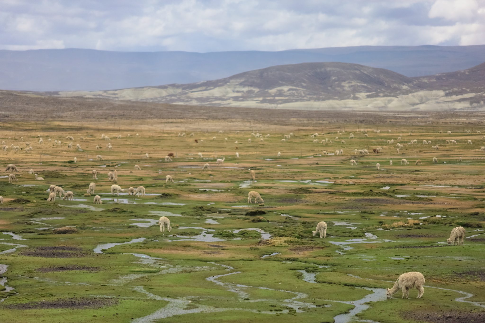 How mountain communities, the park service, and a water utility are ...