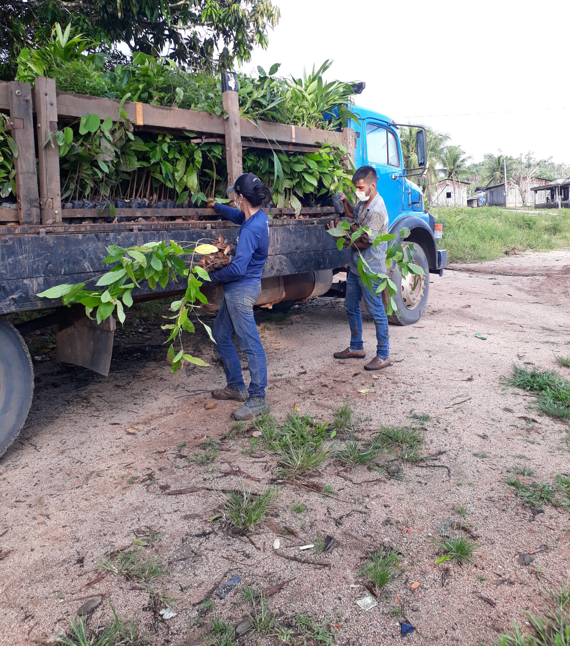 Forest Trends - Pioneering Finance for Conservation
