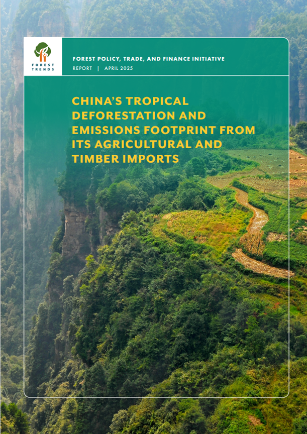 China's Tropical Deforestation and Emissions Footprint From Its ...