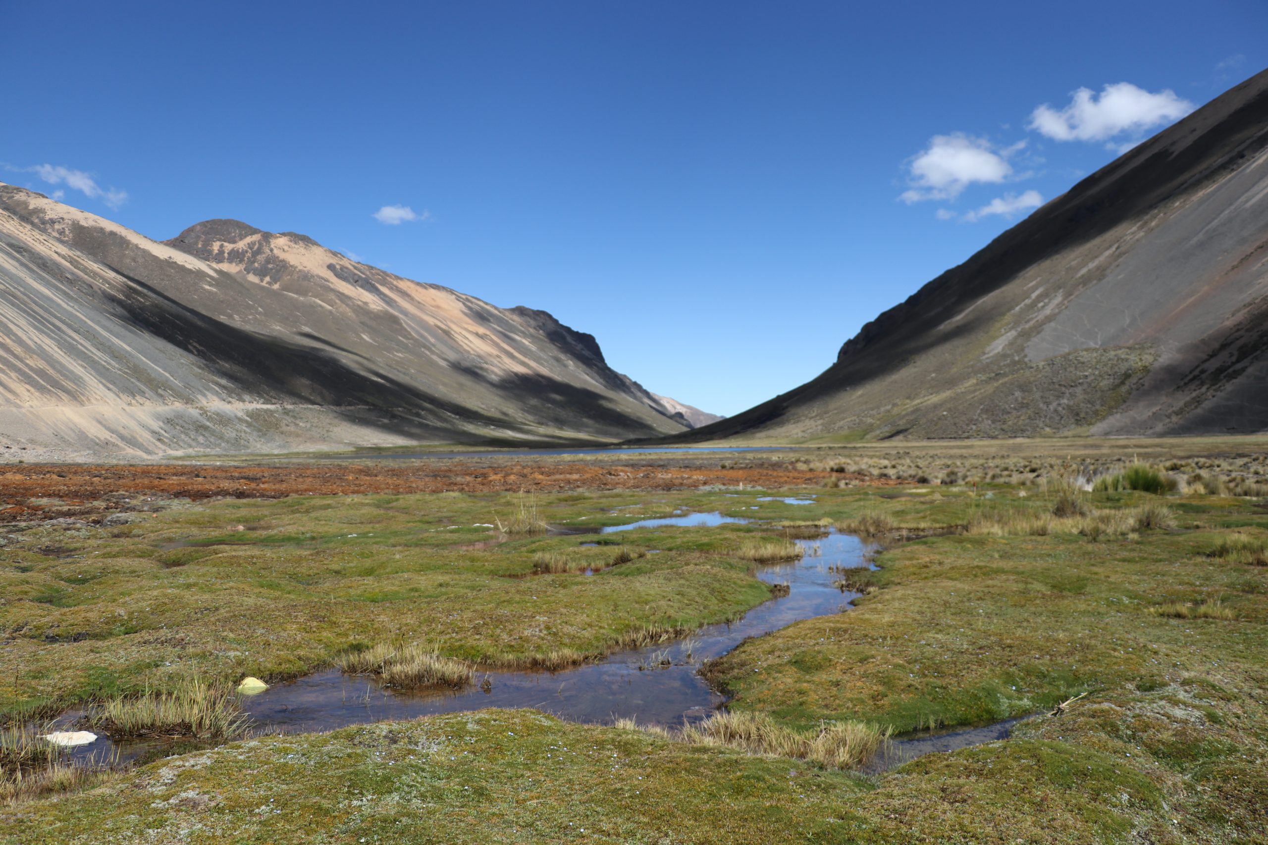 Restore to Win: How an Agreement Between the Countryside and the City ...