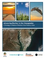 Advancing Biochar in the Chesapeake - Forest Trends
