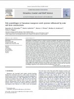Fish assemblages in Tanzanian mangrove creek systems influenced by ...